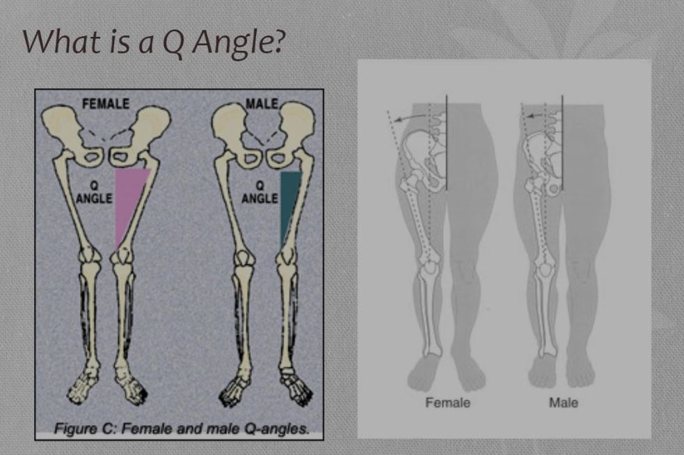 Q Angle Male Vs Female