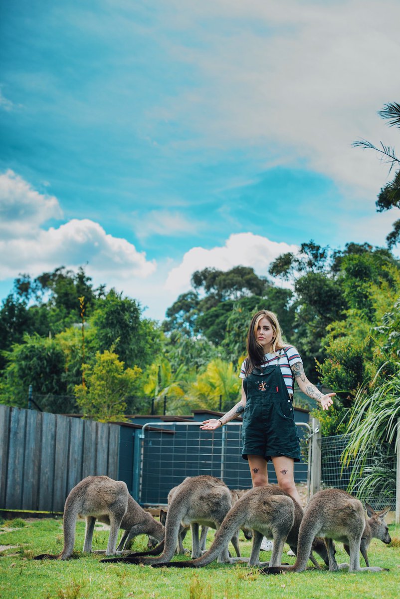 110 best u/craysounds_ images on Pholder | 🌹🌺🍉🍓🍒