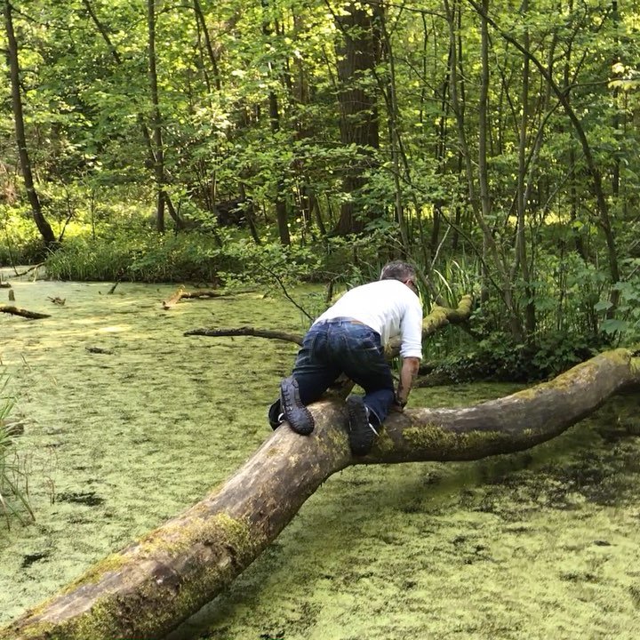 Geocaching on Twitter: "You arrive at the #geocaching location and your GPS says it's 5 meters ...