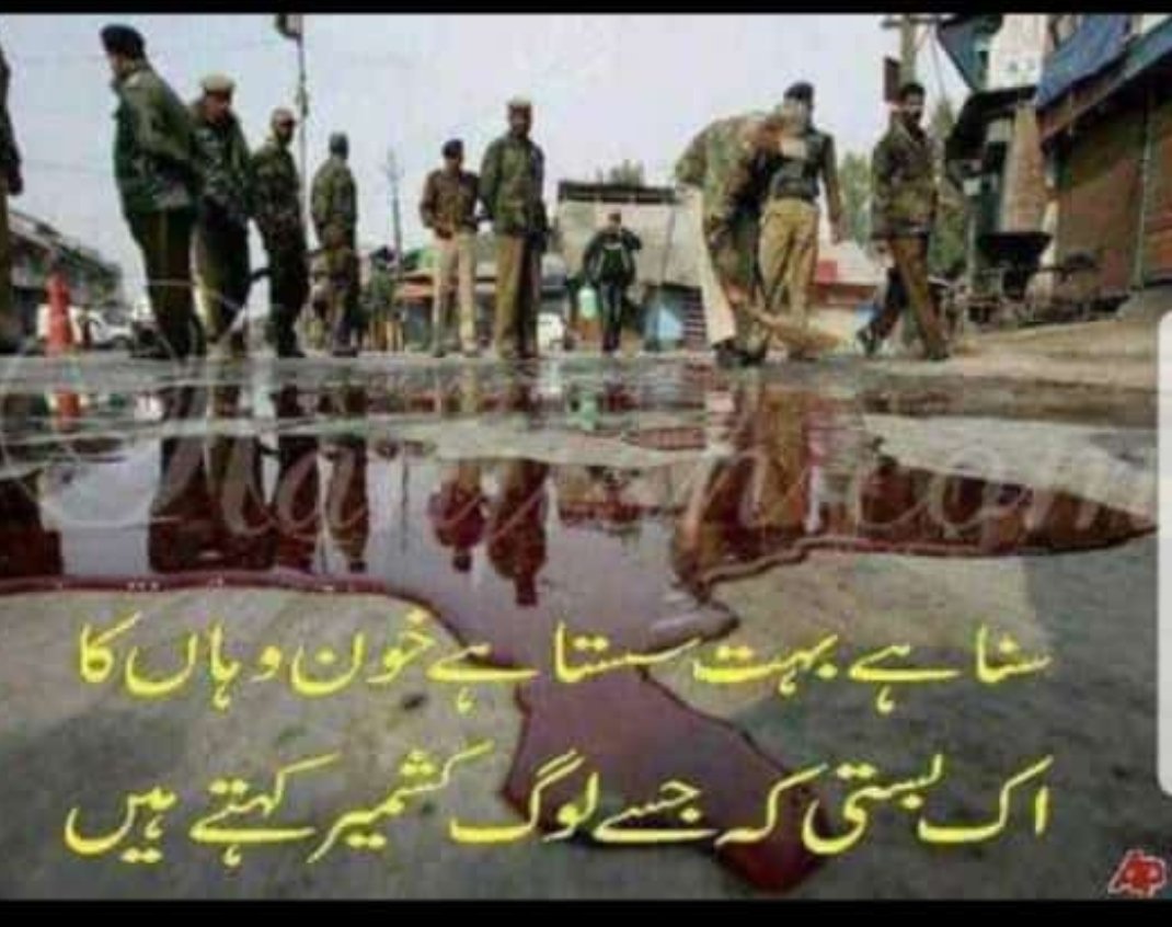 S M ADIL SAFEER (@SMADILSAFEER1) | Twitter