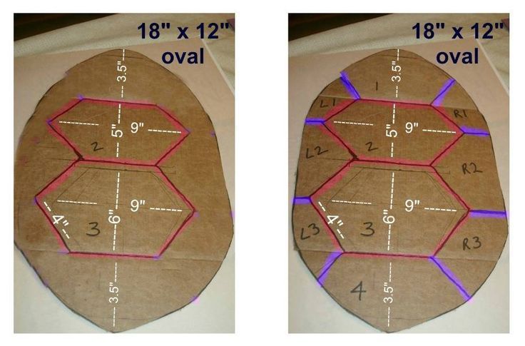 How To Draw A Ninja Turtle Shell