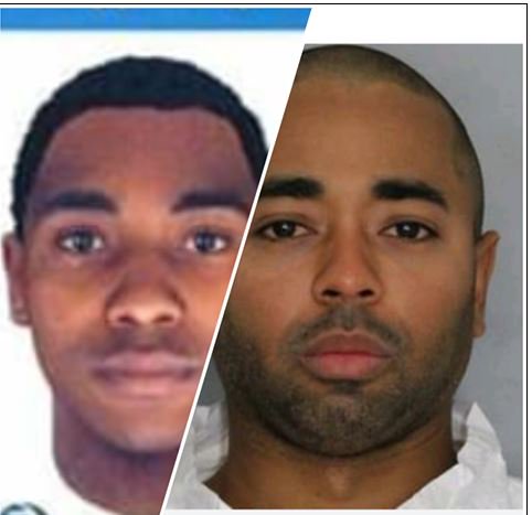 Louis Coleman Boston Ma | semashow.com