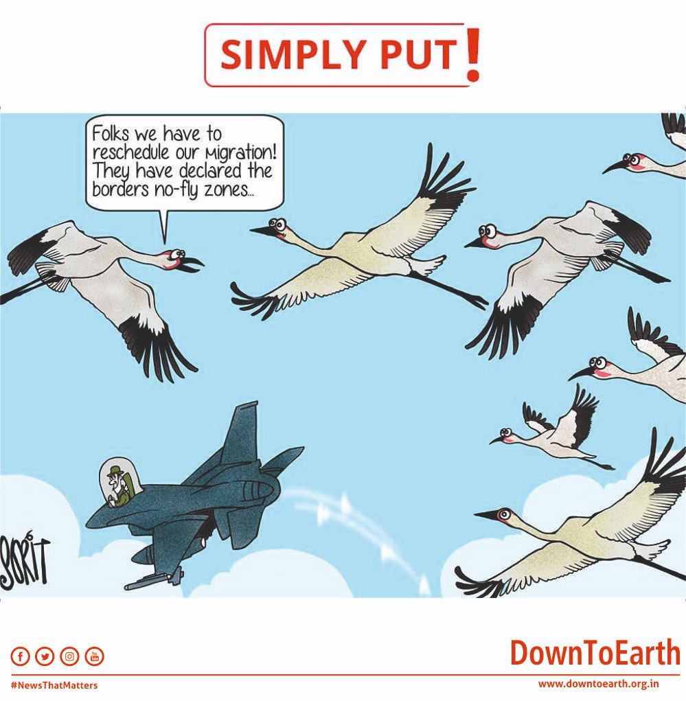 Bird Migration Cartoon