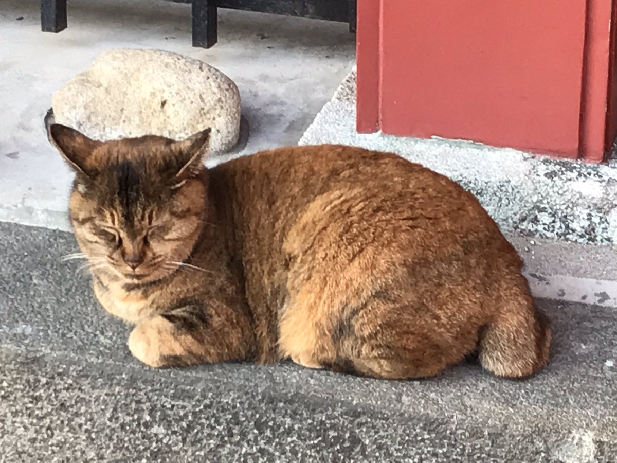 Nori_Shimizu (@Nori_Street_BOB) | Twitter