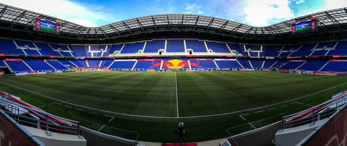 Professional Soccer Field View