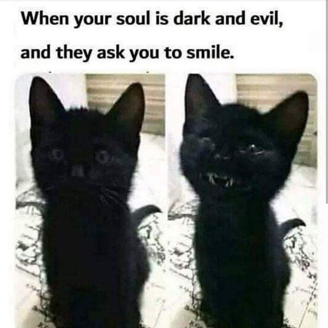 Emo Cat Memes