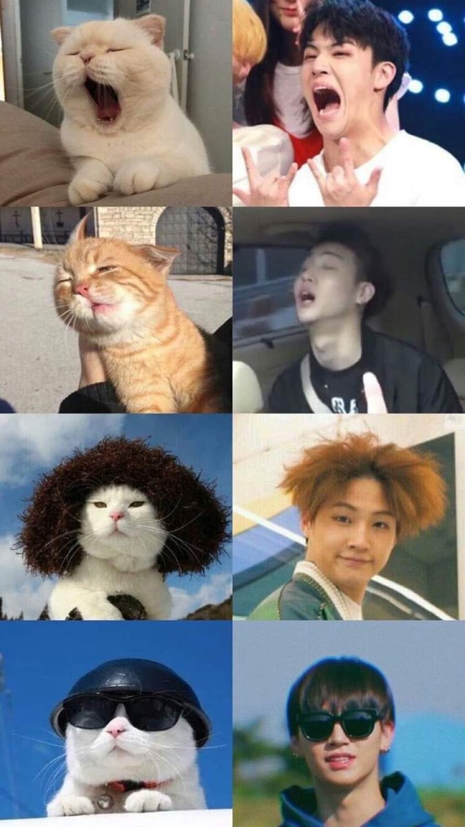 เพื่อนรักมดงู MTBB (@aranya_kongkan) | Twitter