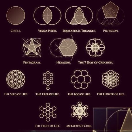 Sacred Geometry Fruit Of Life