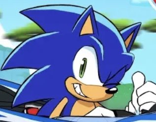 Sonic Winking