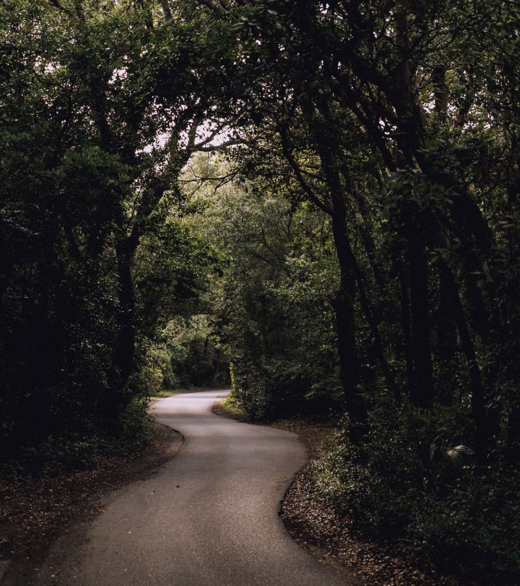 218 best Twitter Rima_talal images on Pholder | اللهم إنك تراه ولا أراه ...