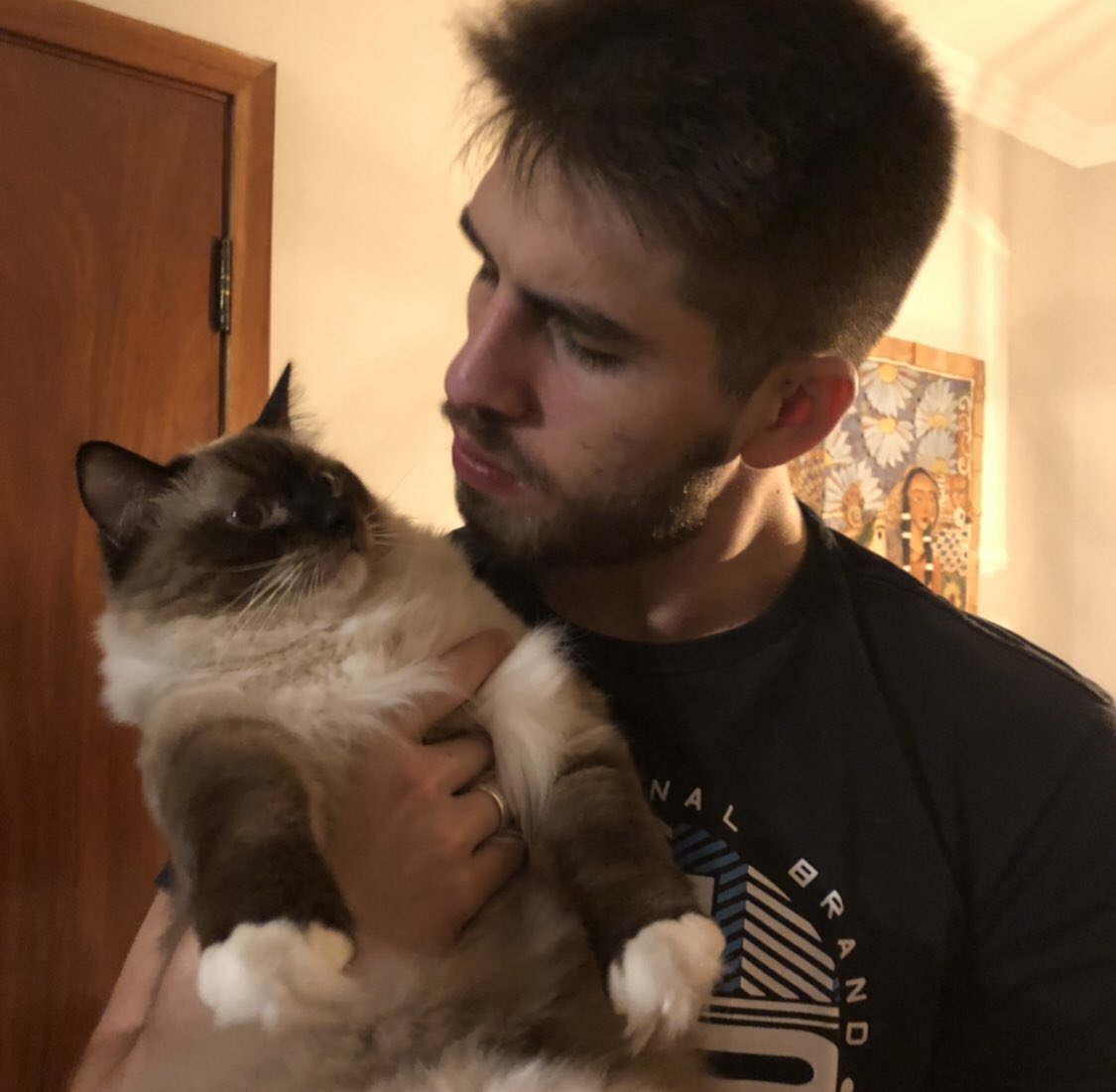 Rafael Knittel on Twitter: "Sempre que vejo foto de cabelo curto minha da vontade de cortar. E ...