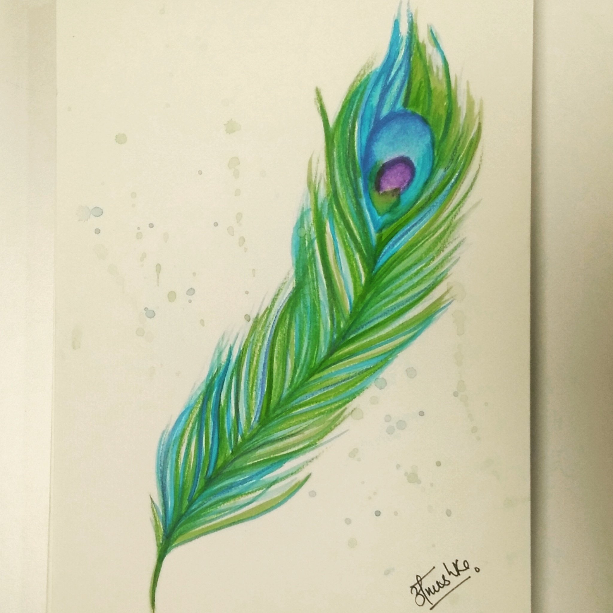 Peacock Feather Drawing With Colour