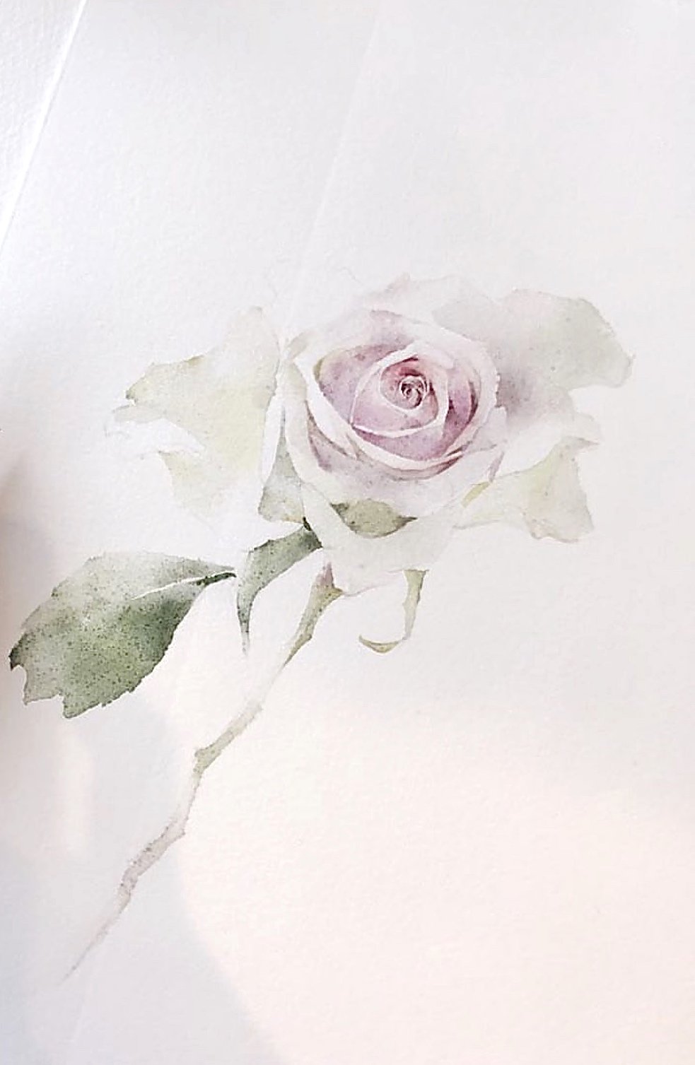 Simple Rose Watercolor