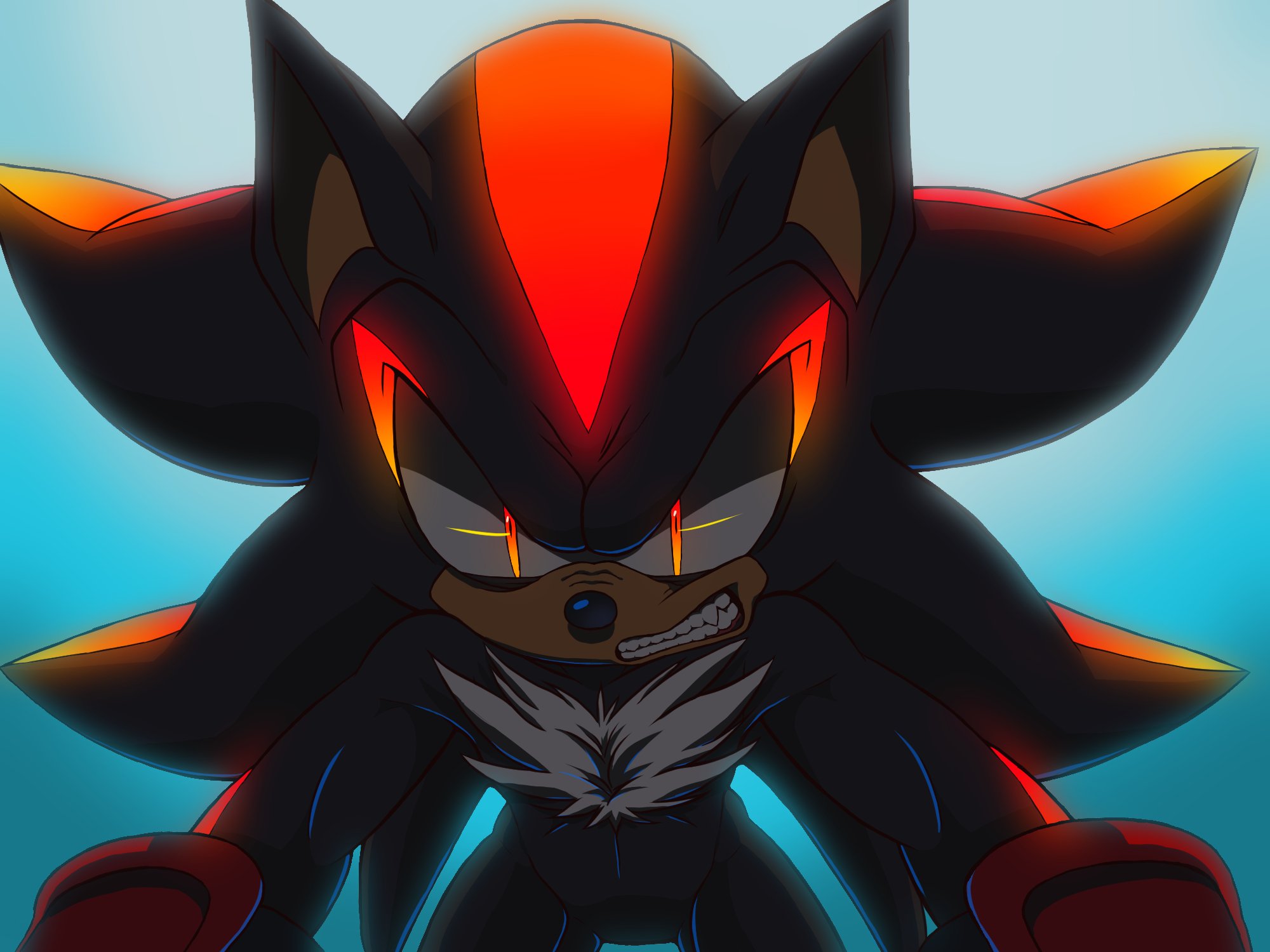 Shadow The Hedgehog Angry