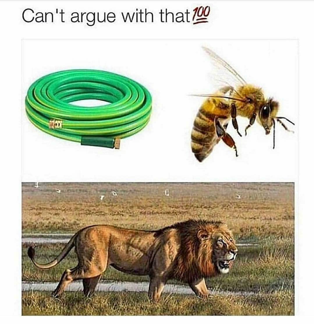 174 best Twitter Smh images on Pholder | WORLDSTAR, Bobby Brown BET and ...