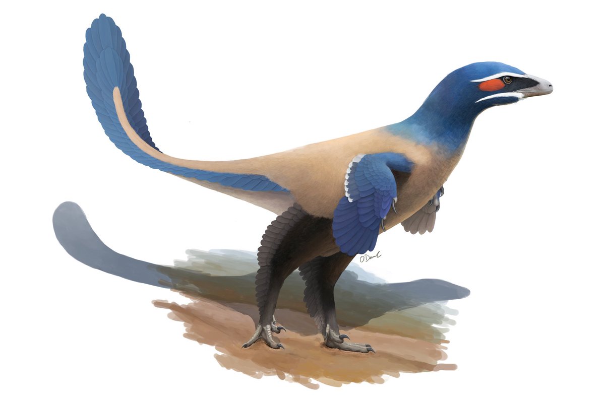 Oliver Demuth (@OliverDemuth) さんのイラスト・マンガ作品まとめ (15 件) - Twoucan