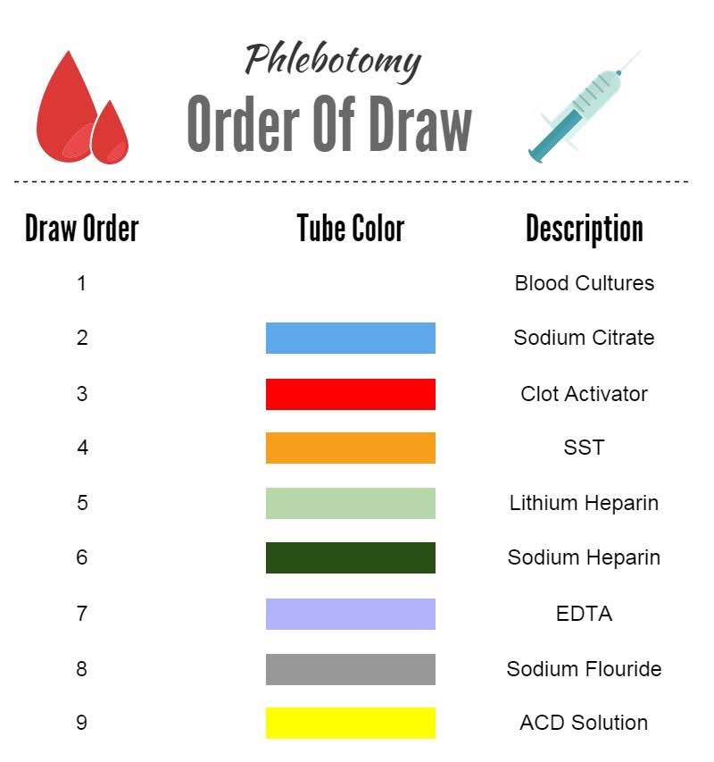 Order Of Draw For Phlebotomy Study Guide Phlebotomyu - vrogue.co Order Of Draw For Phlebotomy Study Guide Phlebotomyu - vrogue.co