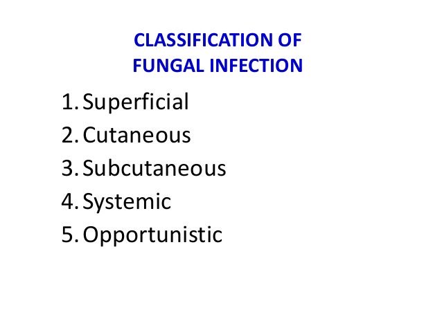 Fungi 🔬 - Thread from غيداء طلال بصفر🇸🇦 @ghayda_basfar - Rattibha
