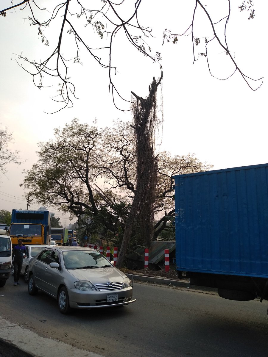 mamun sarder (@mamunsarder3) | Twitter