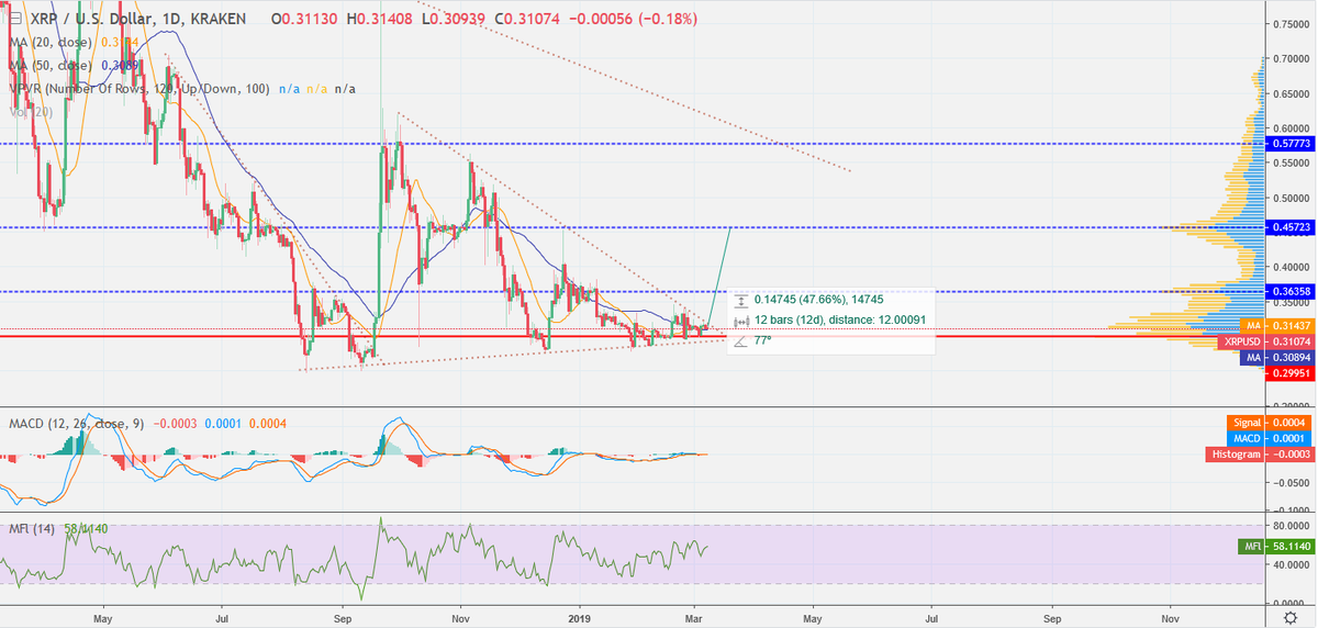 Harmonic Whale (@HarmonicWhale) | Twitter