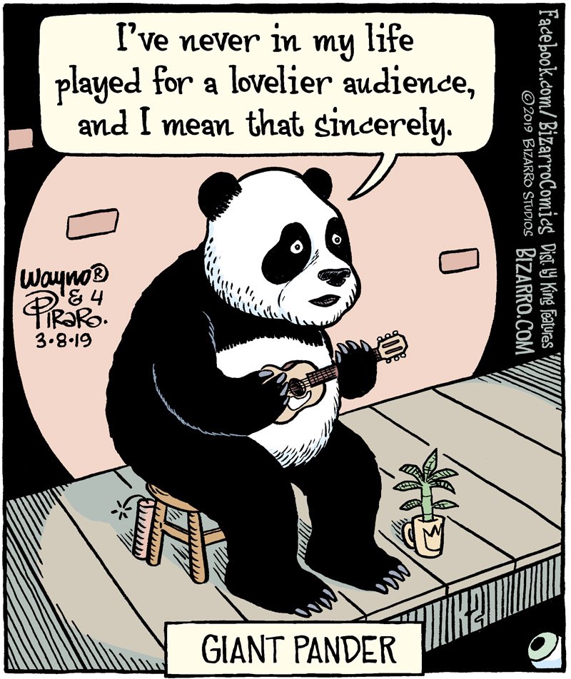 Panda Puns