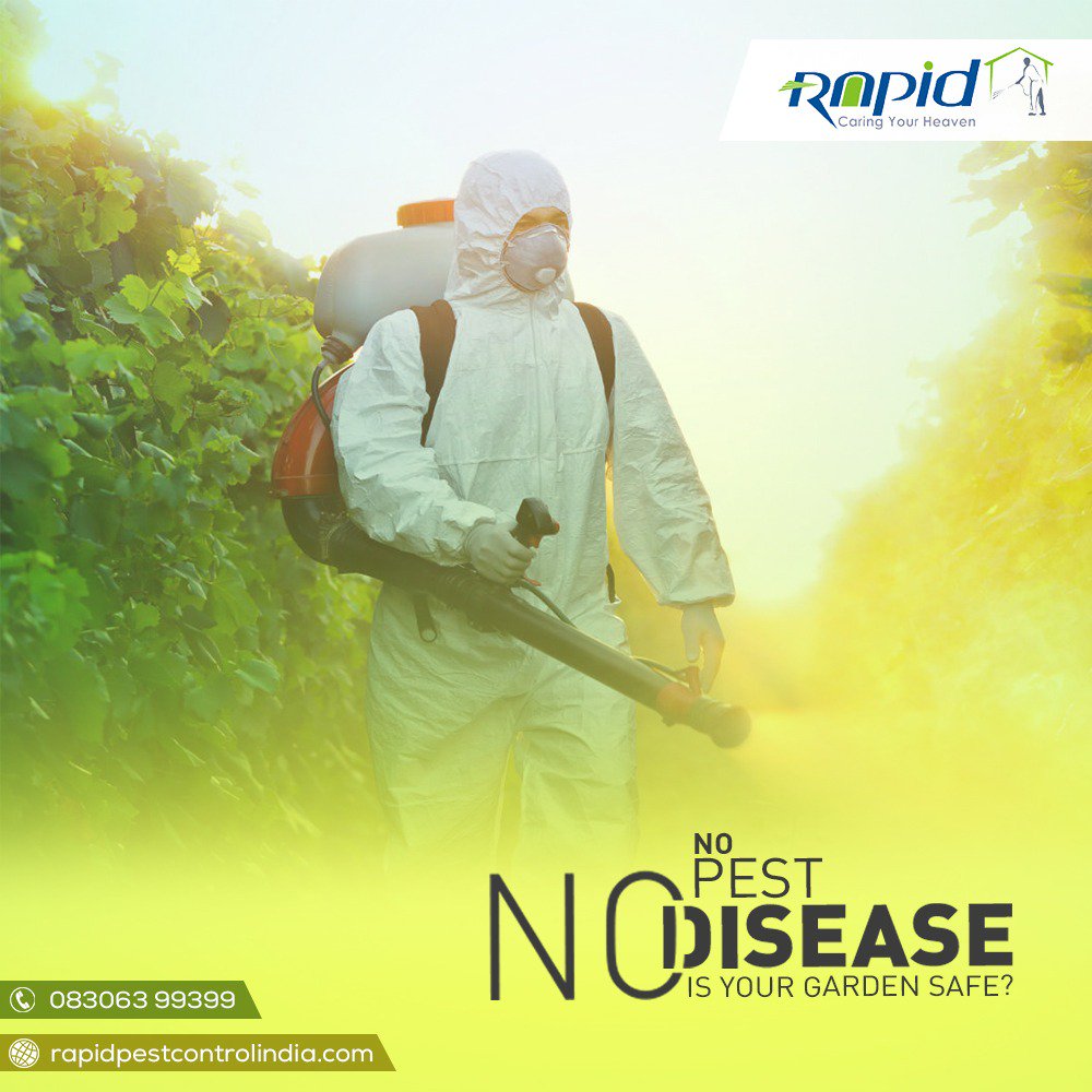 Rapid Pest Control Ind (@rapidpestindia) | Twitter
