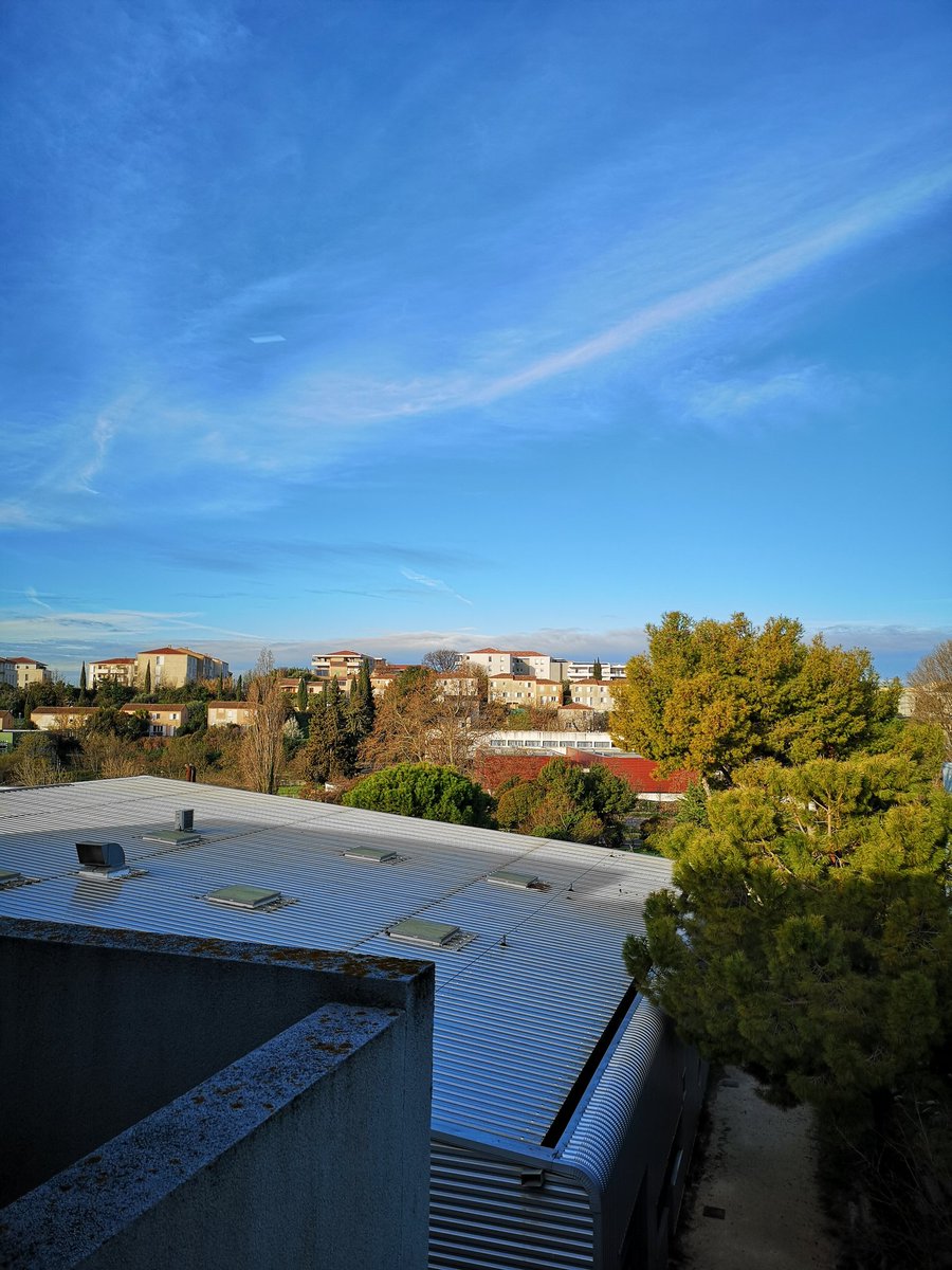 Polytech Nice Conseil (@PolytechConseil) | Twitter