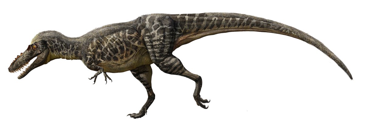 Meet Alioramus! Unlike its famous relative T. rex, Alioramus couldn’t ...