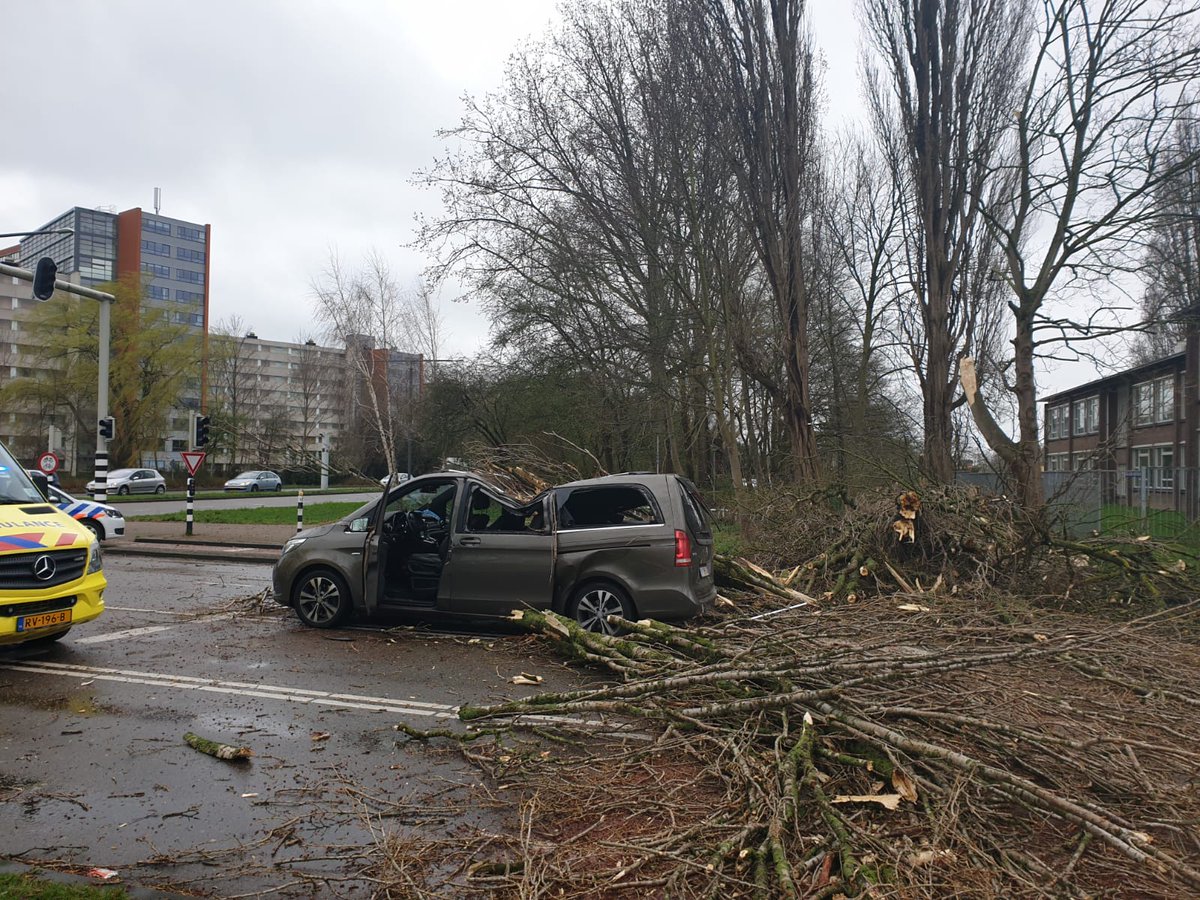Liveblog teruglezen: storm in de regio Rijnmond treft vooral bomen ...