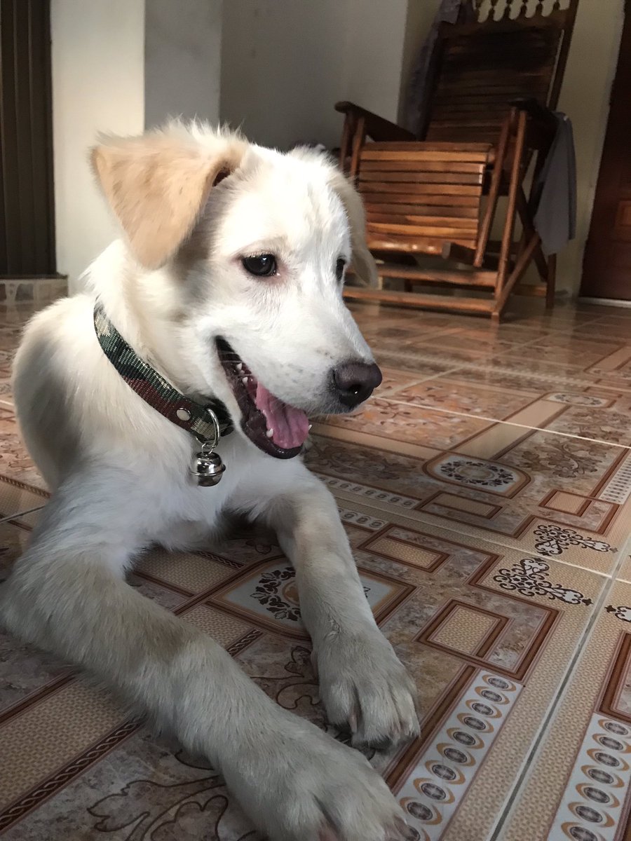 Aom Waraporn (@AomWaraporn7) | Twitter