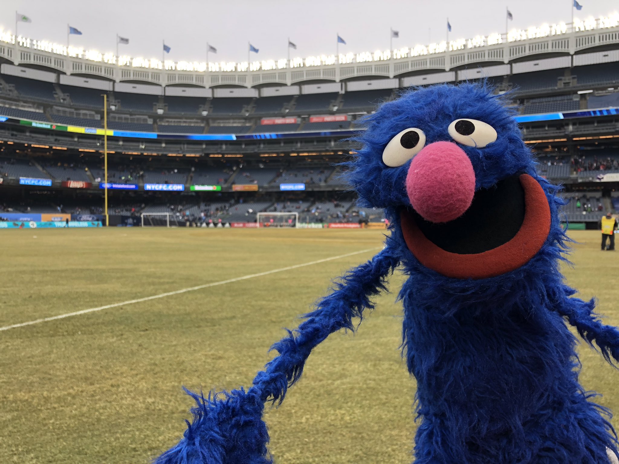 Grover Sesame Street Wallpaper