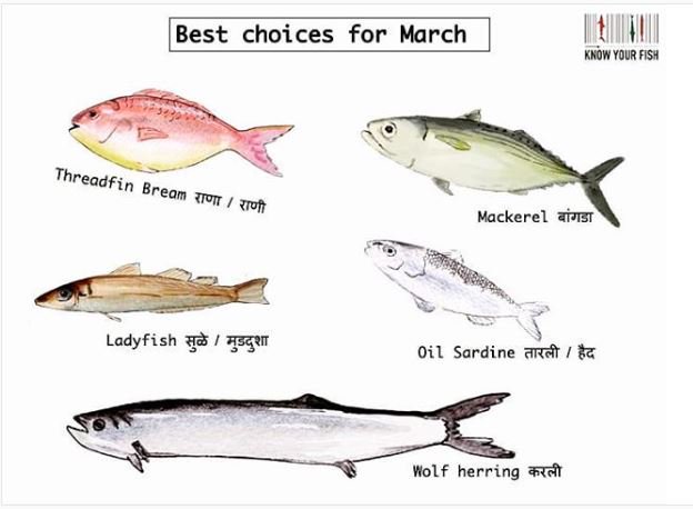 Types Of Fish Name In Marathi Sea Fish, Over Fish,, 43% OFF