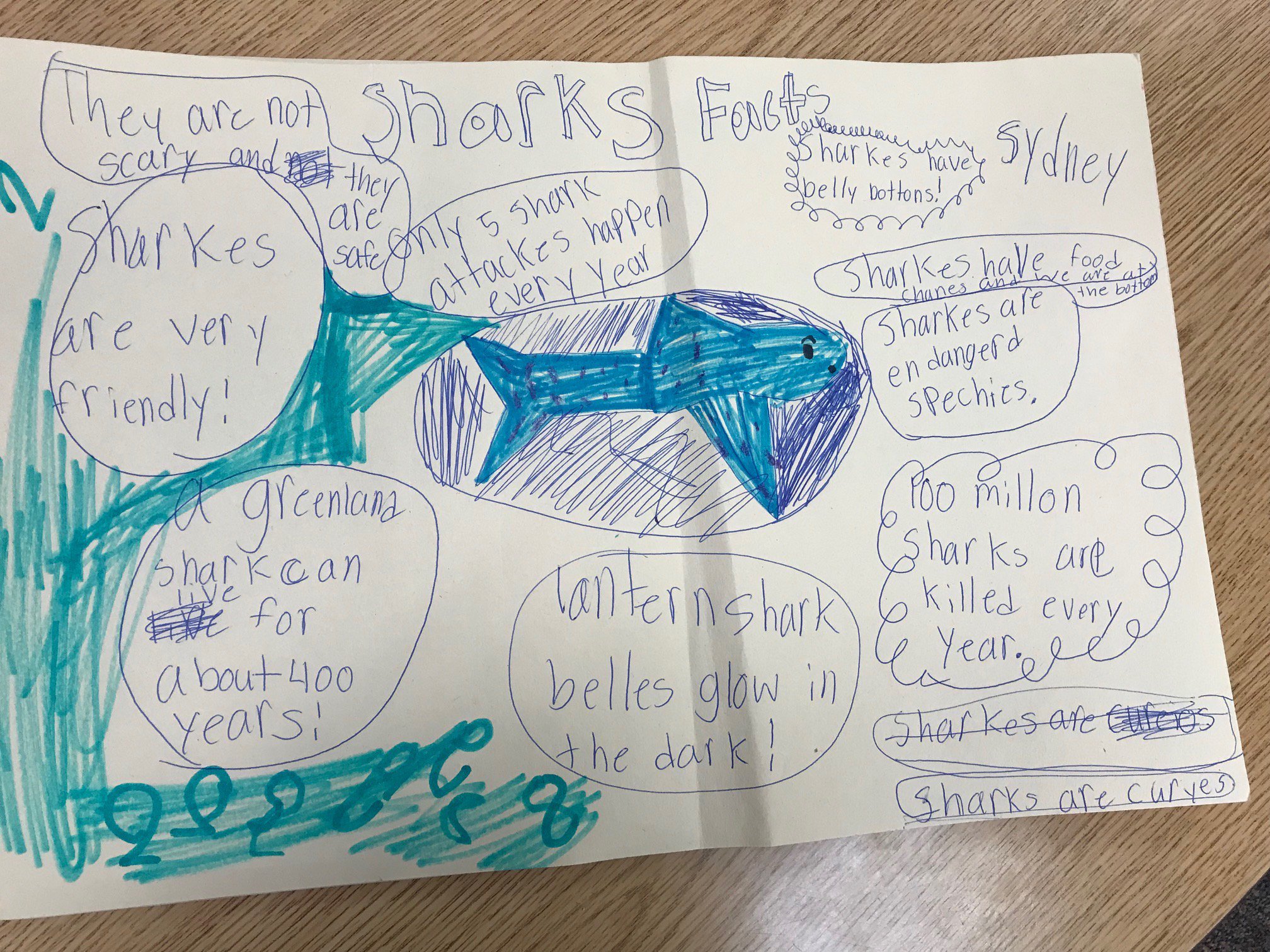Shark Education on Twitter: "Thanks to @HarlowDiamond for welcoming us ...