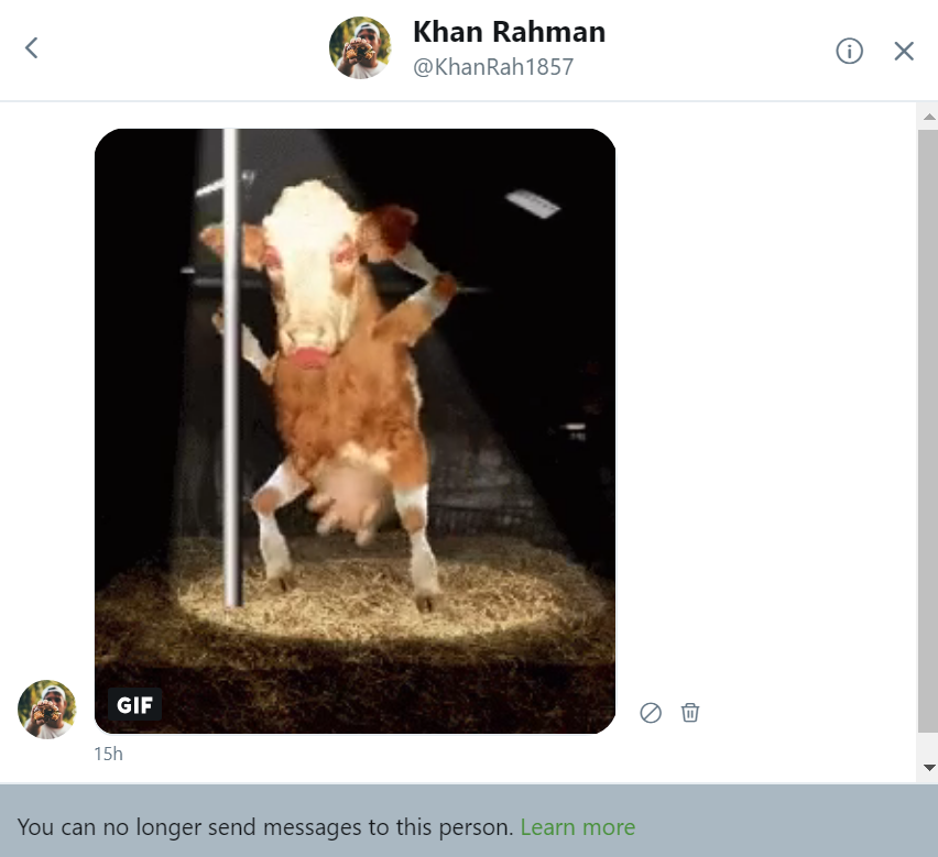 Pole Dancing Cow Gif