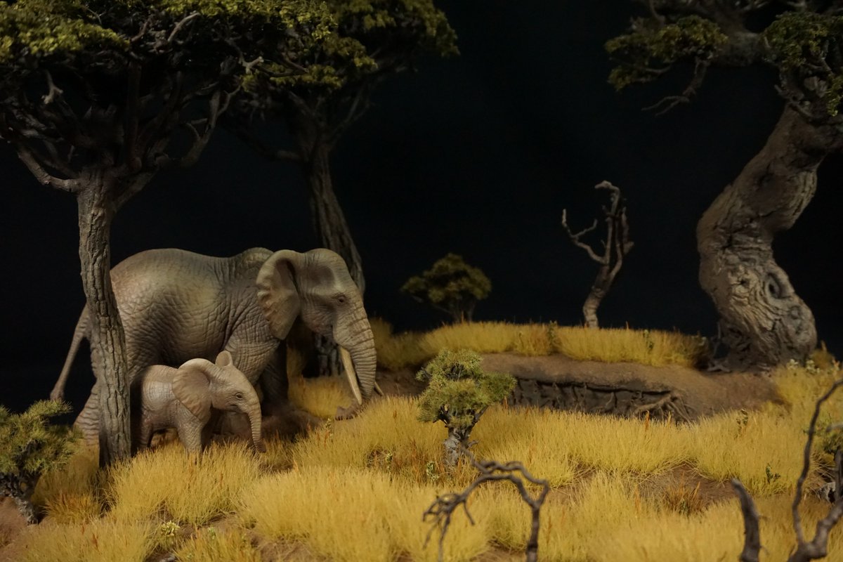 African Elephant Habitat Diorama