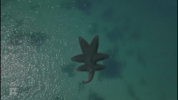 Lego 2 Headed Shark Attack