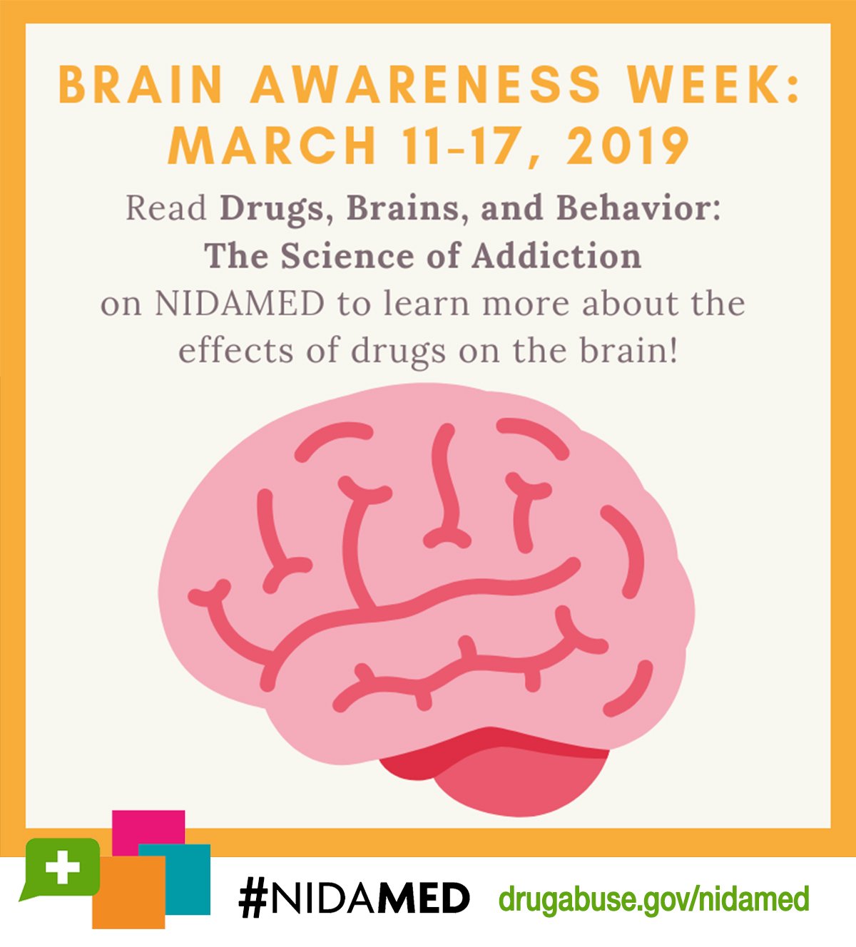 Effects Of Drugs On The Brain