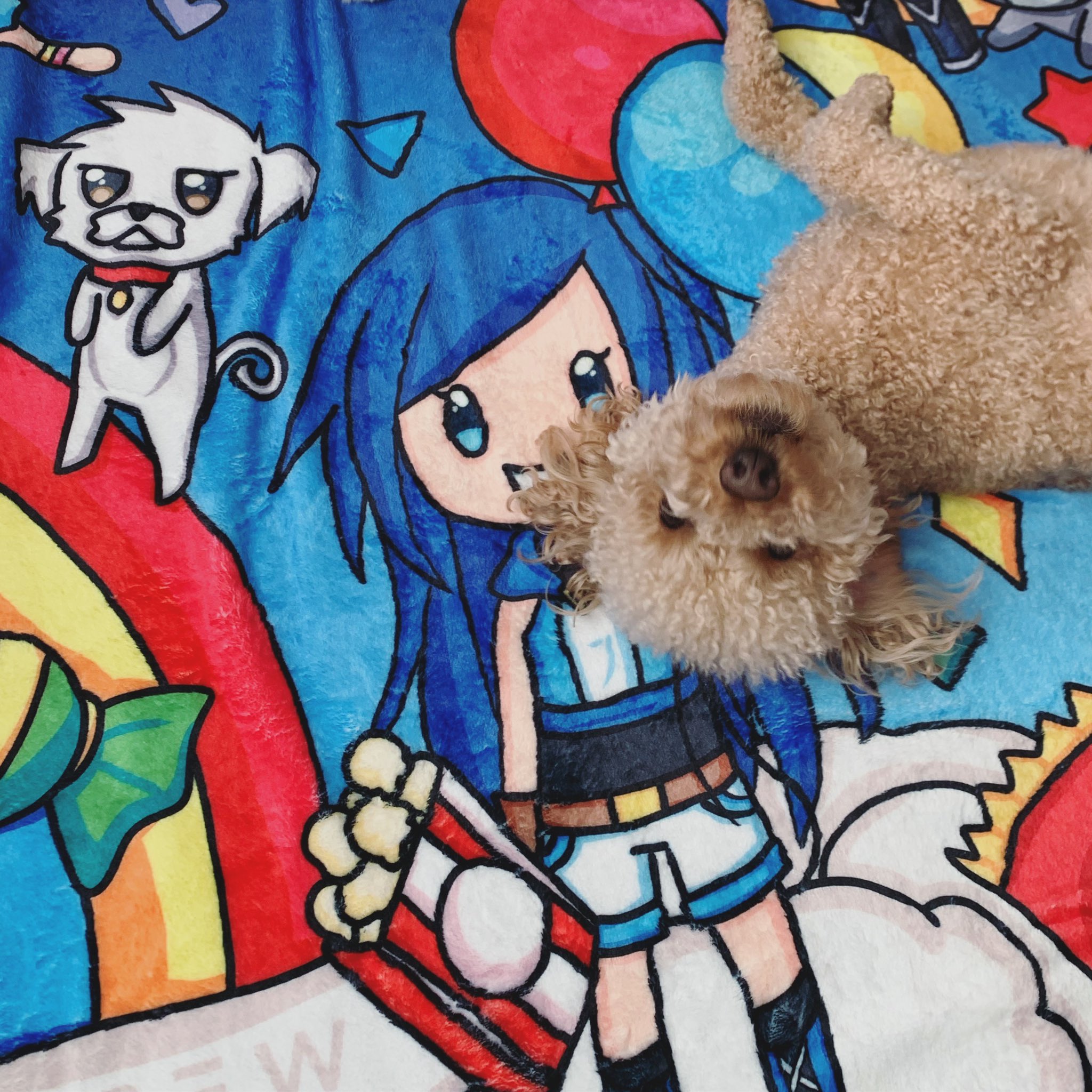 ItsFunneh on Twitter: "break up with your blankee i’m bored #krewmerch drop coming soon...…