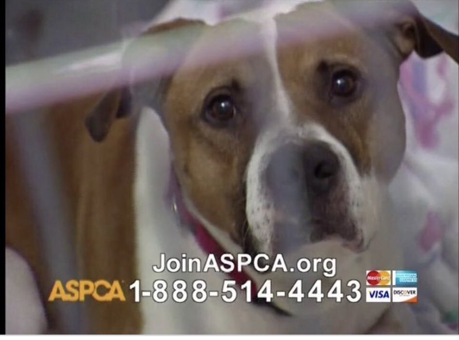 Sad Aspca Ads