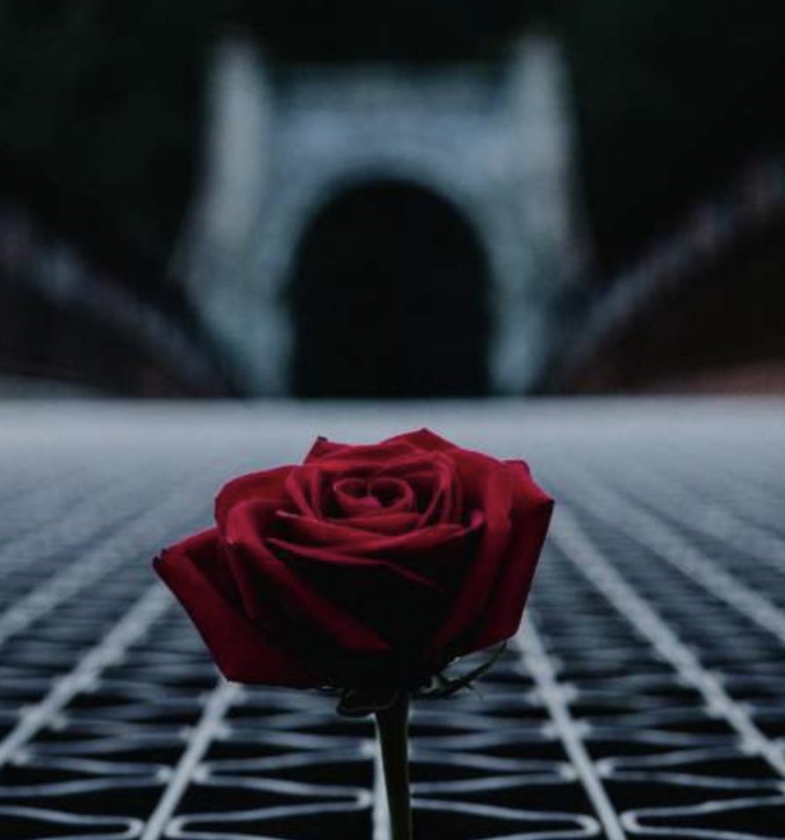 218 best Twitter Rima_talal images on Pholder | أشتاق لك لأن حبك أقوى ...