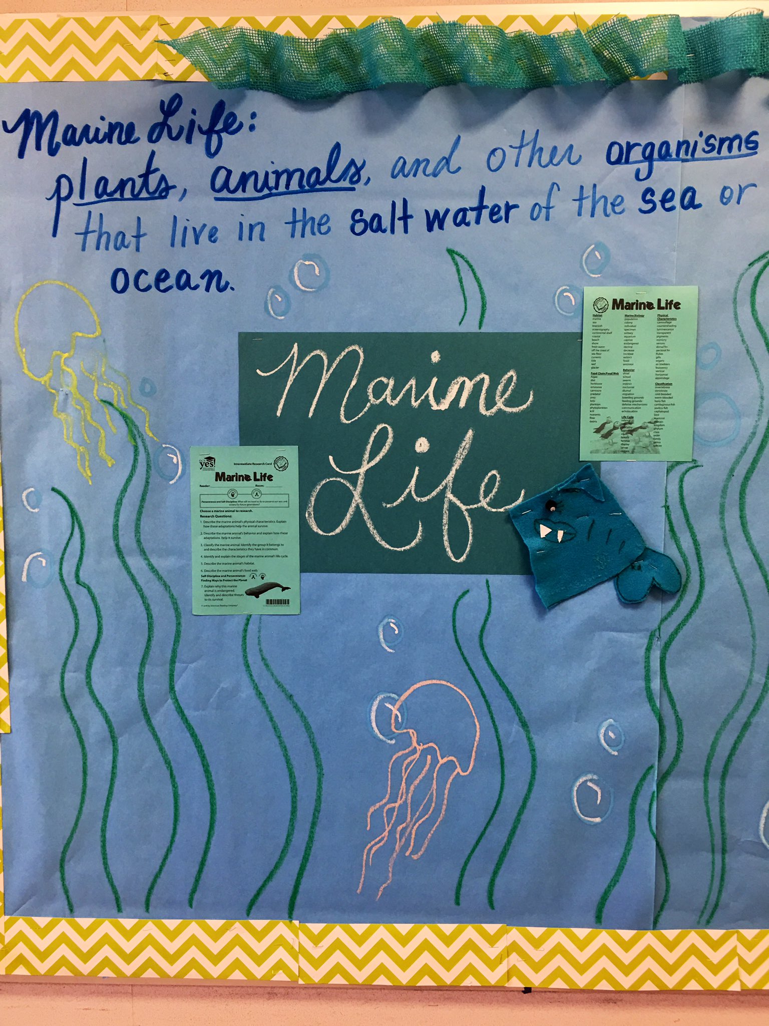 Ms. Jangi Hamby on Twitter: "Diving into our new ARC Unit — Marine Life ...