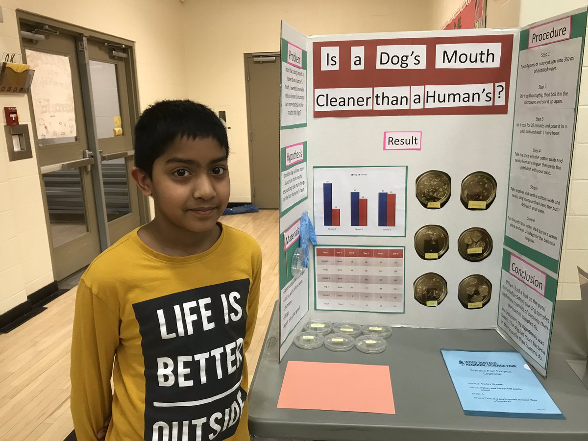 Is A Dogs Mouth Cleaner Than A Humans Science Project