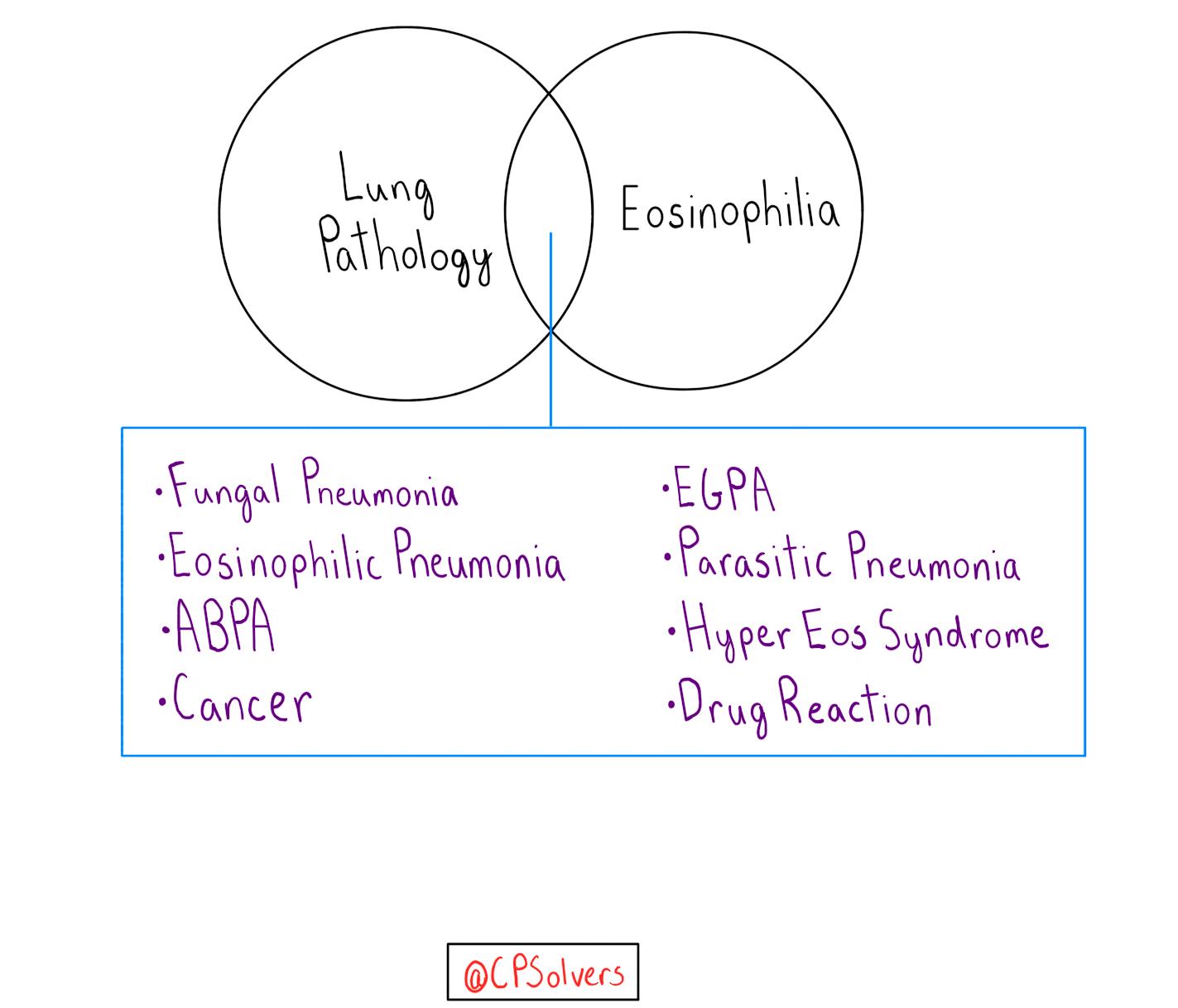 Anaerobic Vs Aerobic Venn Diagram