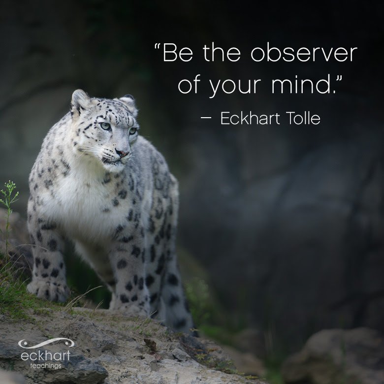 87 best Twitter @eckharttolle images on Pholder | Be the observer of ...