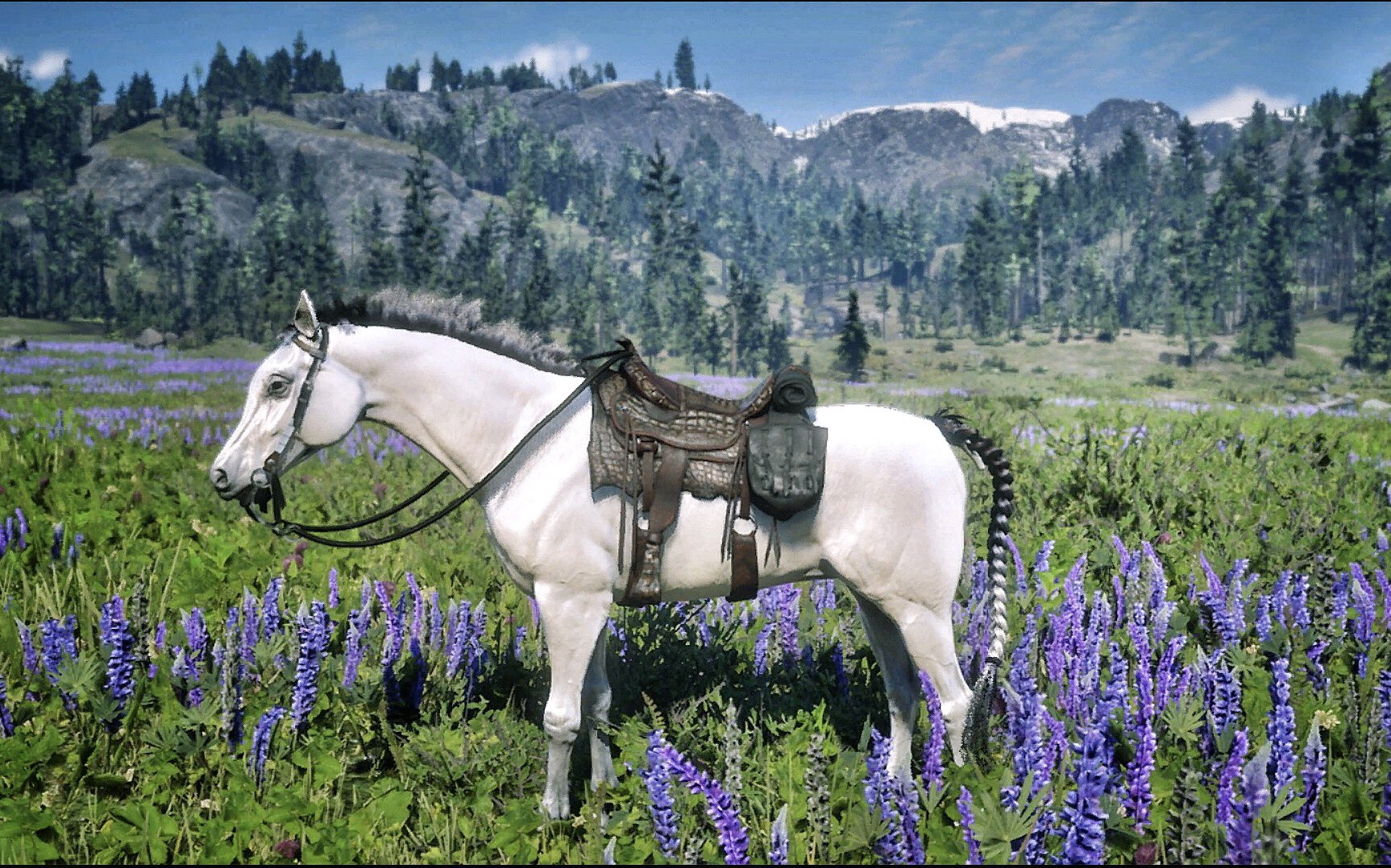 White Arabian Horse Red Dead Redemption 2 FiveTheGamer On X: "Finally