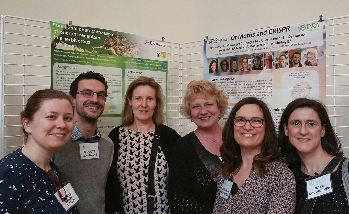 Emma Joly (@EmmaJoly8) | Twitter