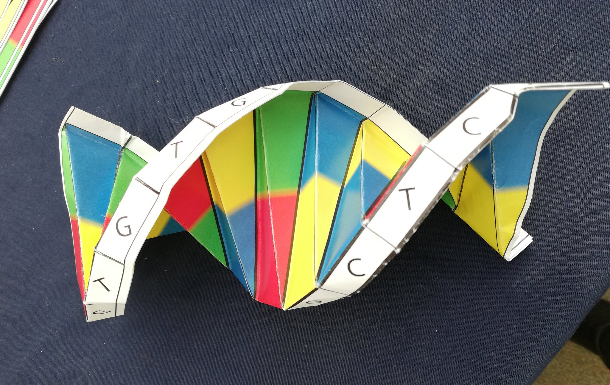 Dna Double Helix Model Origami Origami For Good X The HEART Venture