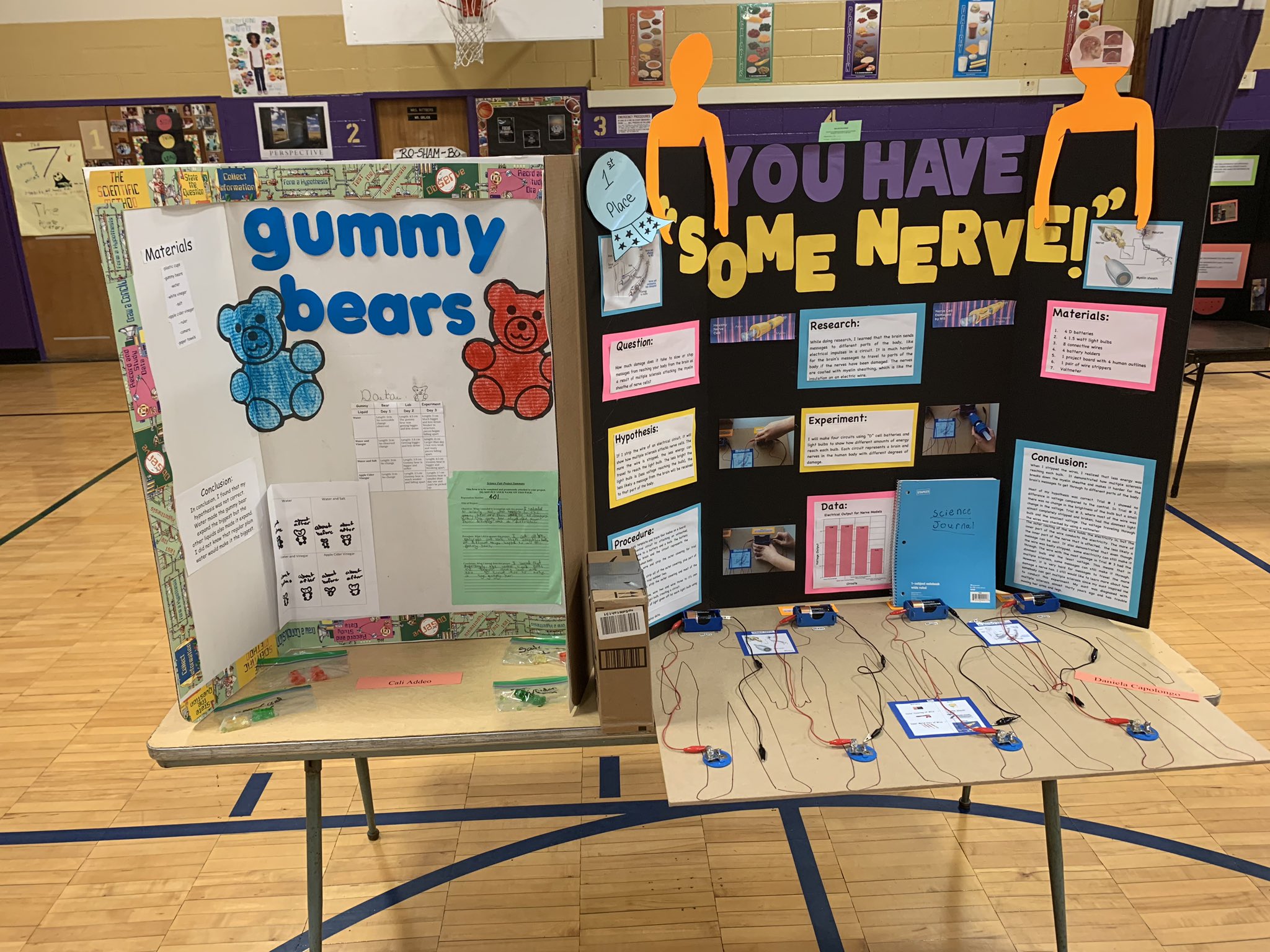 Gummy Bear Science Project Poster