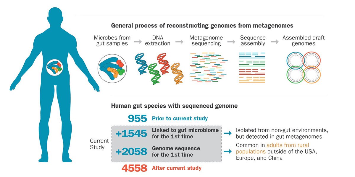 mgsa/references/mgsa.metagenome.md at master · haruosuz/mgsa · GitHub