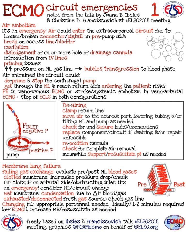 Ecmo Circuit